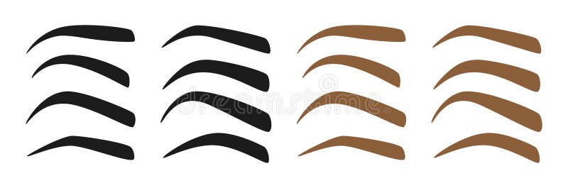 Set of Eyebrow Shapes on White Background Stock Vector - Illustration ...