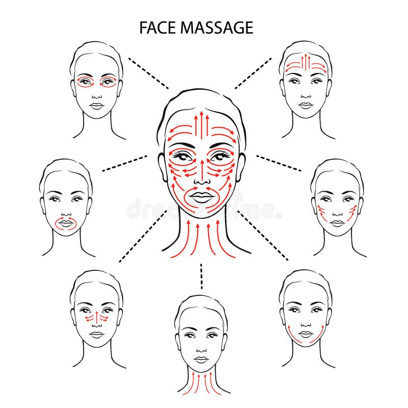 Face Massage Instructions Stock Illustrations 93 Face Massage