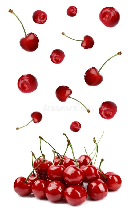 Set of Falling Ripe Cherries on Background. Banner Design Stock Image ...