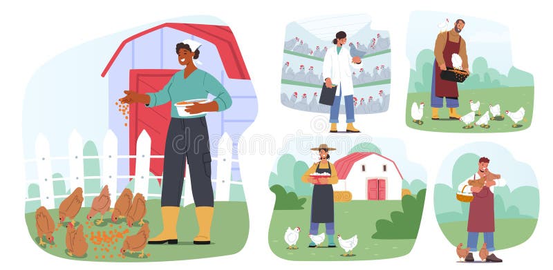 Set of Farmers Engaged in Activities on Poultry Farm Include Feeding ...