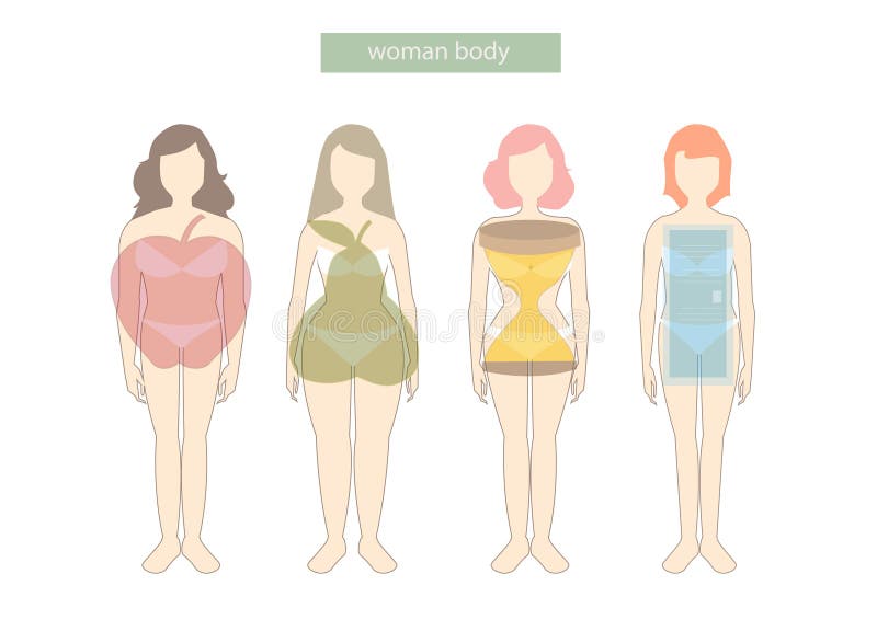 Set of Female Body Shape Types, Illustrations Stock Illustration ...