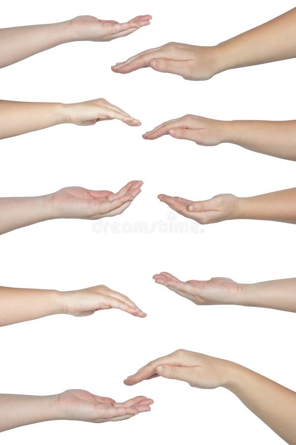 Set of female hands stock image. Image of object, wrist - 65197583