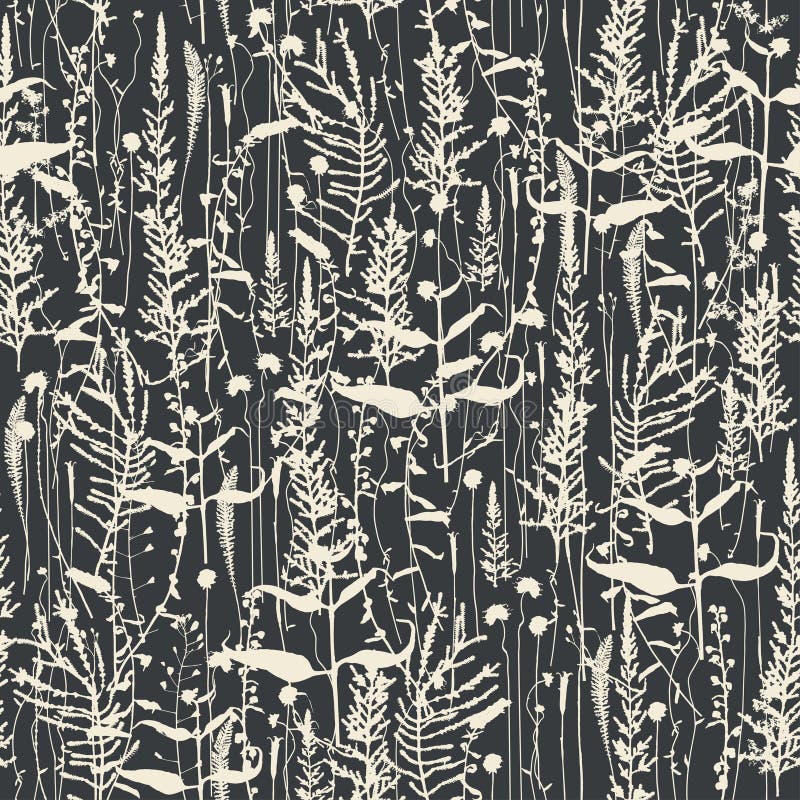 Set of Field Flowers, Herbs. Element of Seamless Pattern. Paper Design ...