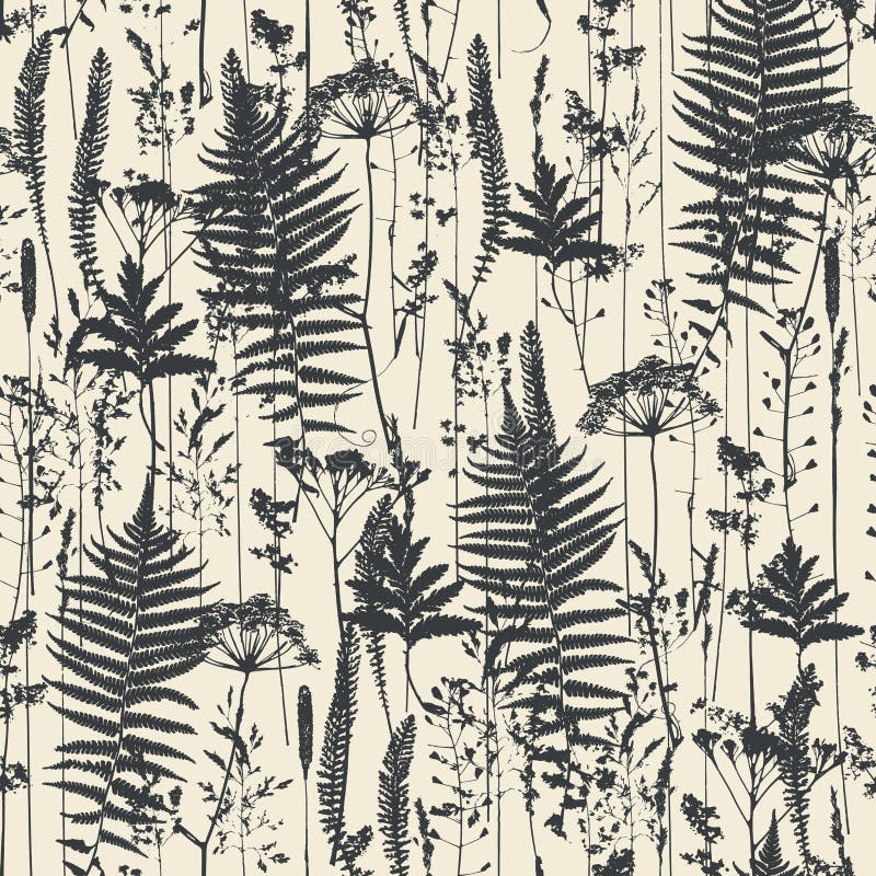 Set of Field Flowers, Herbs. Element of Seamless Pattern. Paper Design ...