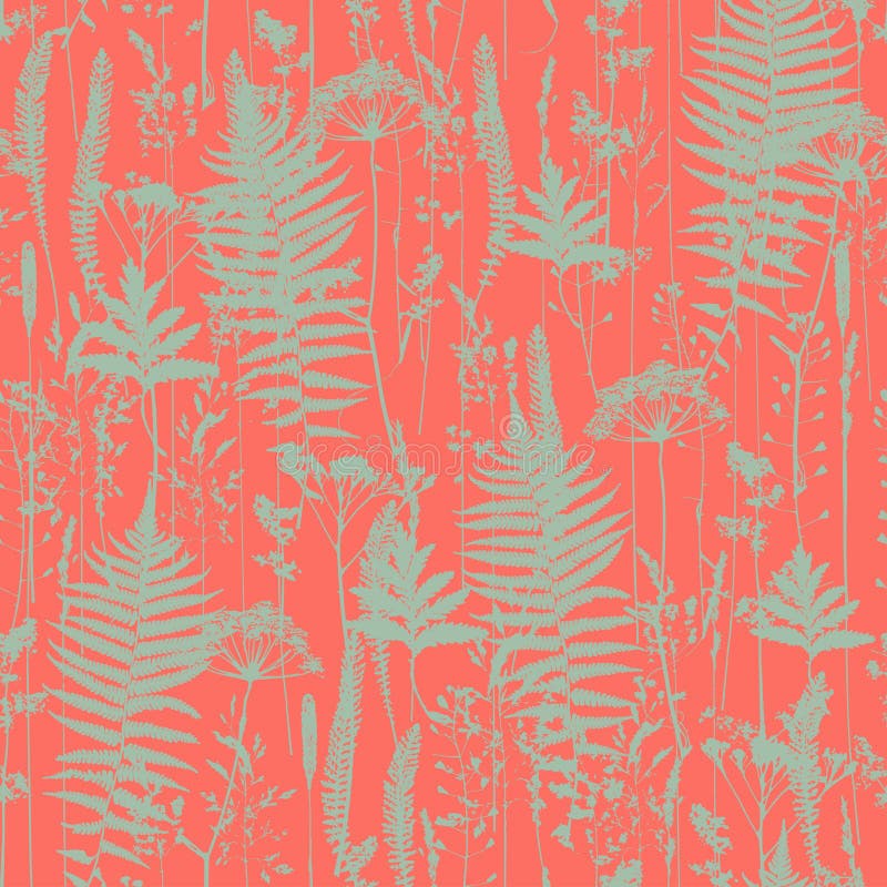 Set of Field Flowers, Herbs. Element of Seamless Pattern. Paper Design ...