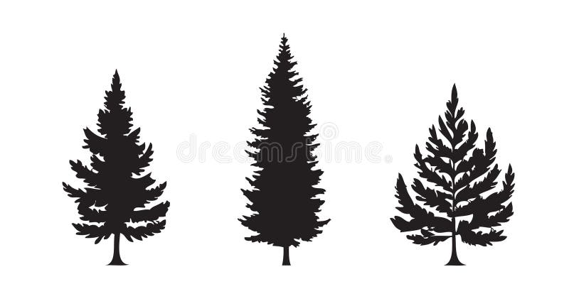 Set of Fir Tree Silhouette Isolated Vector Stock Vector - Illustration ...