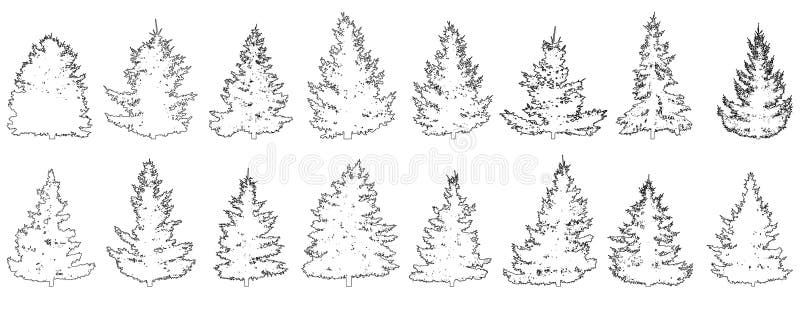 Set of Contour Trees with Roots. Beautiful Fir, Pine, Deciduous Trees ...