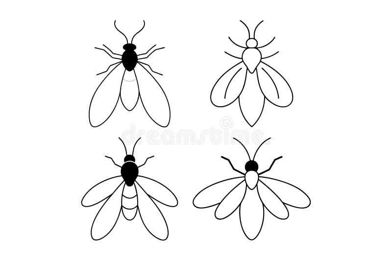 A set of Fireflies stock vector. Illustration of fireflies - 323910156