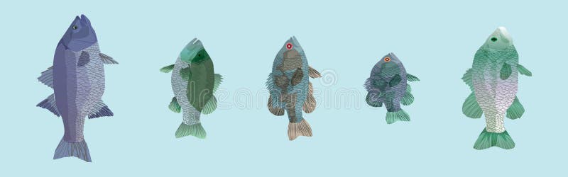 Set of Fish Animals Cartoon Icon Design Template with Various Models ...