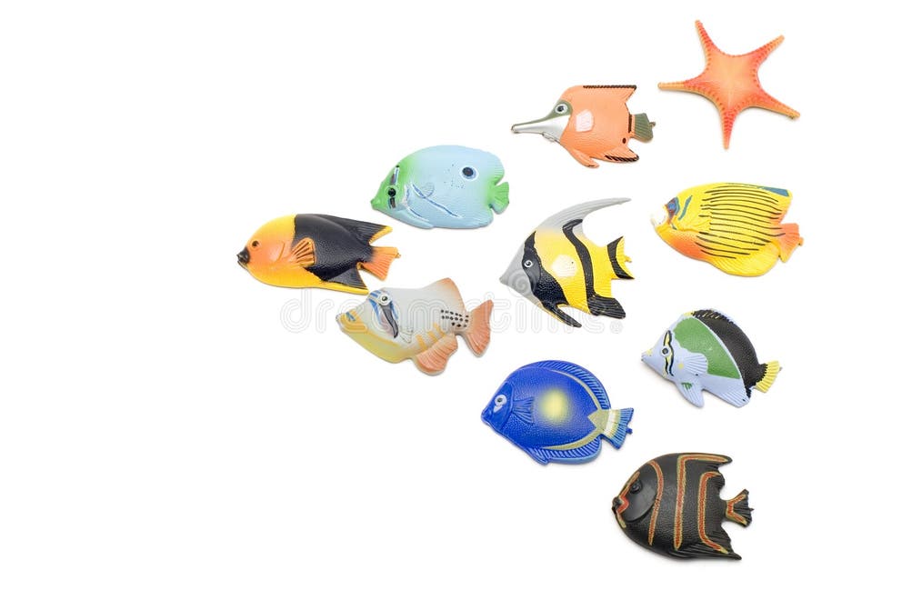 Set of Fish magnet stock image. Image of aquatic, colorful - 4928615