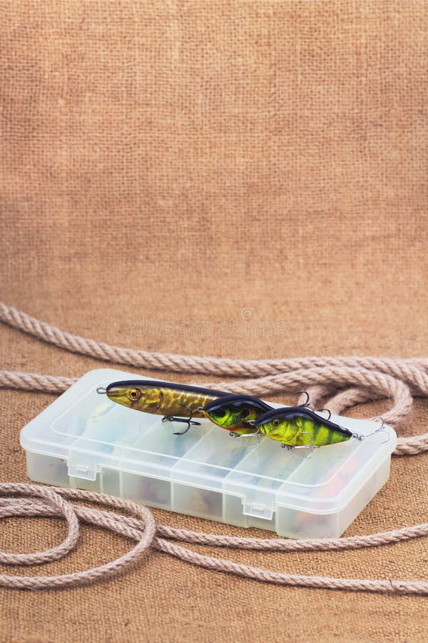 Set of fishing lures stock image. Image of catchability - 41789935