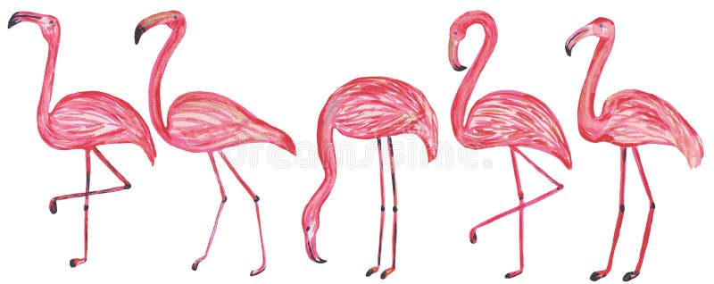 Five Flamingos Maze Game stock vector. Illustration of long - 29749229
