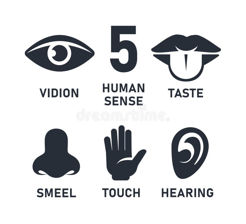 Set of Five Human Senses. Vision, Hearing, Smell, Taste and Touch Stock ... Set of Five Human Senses. Vision, Hearing, Smell, Taste and Touch Stock ...