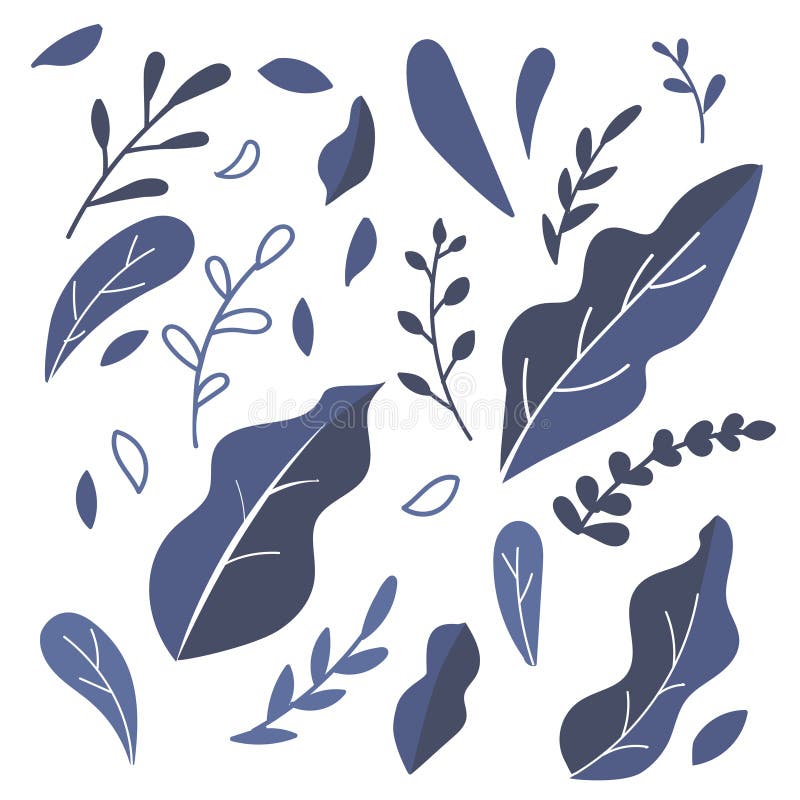 Set of Flat Abstract Stylized Leaves. Natural Botanical Leaf Elements ...