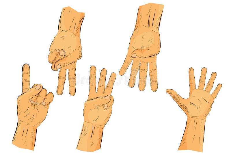 Set of Flat Color Hand Draw Sketch Counting or Voting Hand, One To Five ...