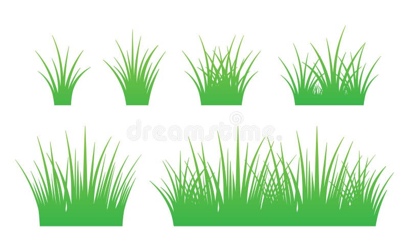 Set of Flat Design Green Grass Border on White Background, Vector Stock ...