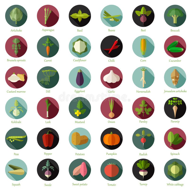 Set of Flat Round Vegetable Icons Stock Vector - Illustration of pepper ...