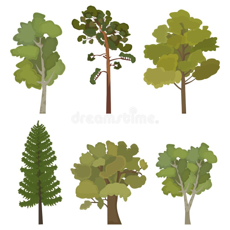 Set of Flat Trees for Infographics Stock Illustration - Illustration of ...