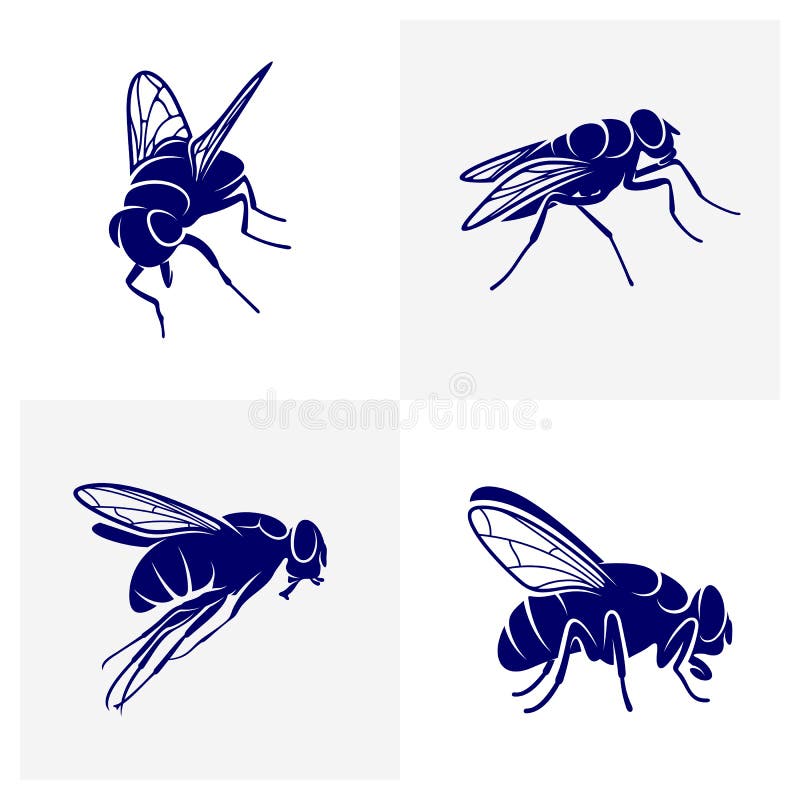 Set of Flies Design Vector, Illustration Flies Design Template, Symbol ...