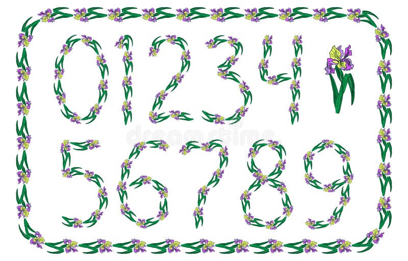 Set of Floral Digits and Frame with Iris Flowers. Vector Design ...
