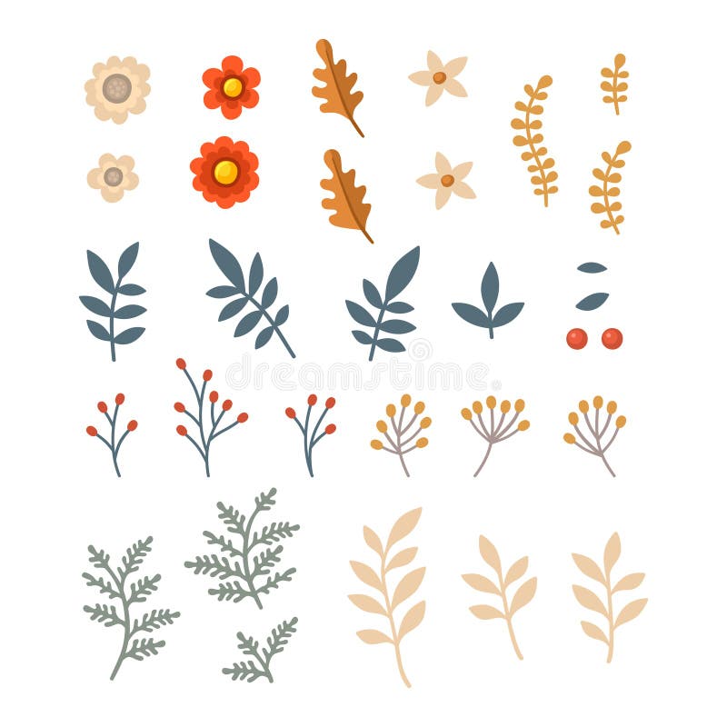 Set of Floral Elements. Flower and Leaves Stock Illustration ...