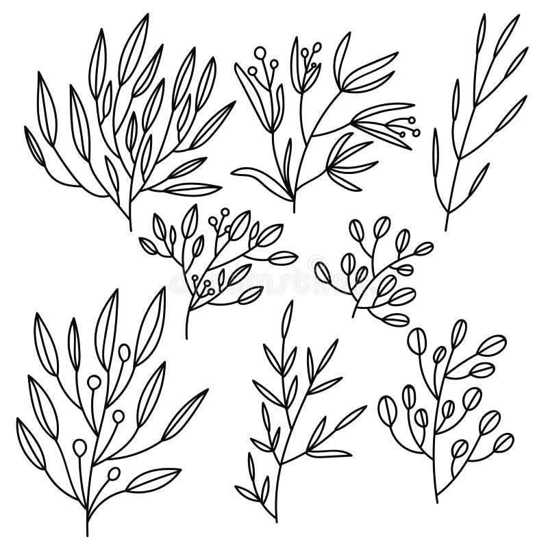 Set of Floral Elements. Tree Branch. Plants Isolated on White ...