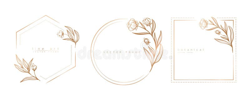 Set of Floral Frame Templates in Minimal Linear Style Stock Vector ...