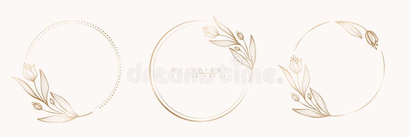 Set of Floral Frame Templates in Minimal Linear Style Stock ...