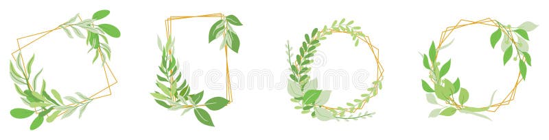 Set of Floral Frames, Elegant Square, Rectangular and Round Borders ...