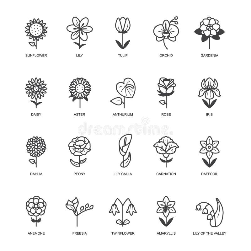 Set of Flower Icons. Vector Illustration Decorative Design Stock Vector ...