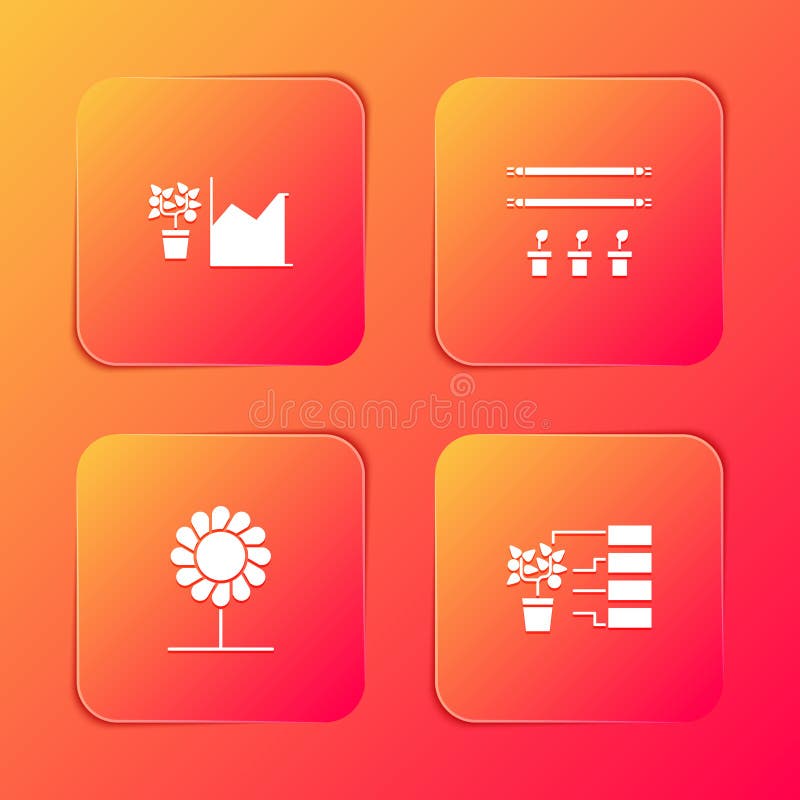 Set Flower Statistics, Smart Farm with Bulb and Plant, and Analysis ...