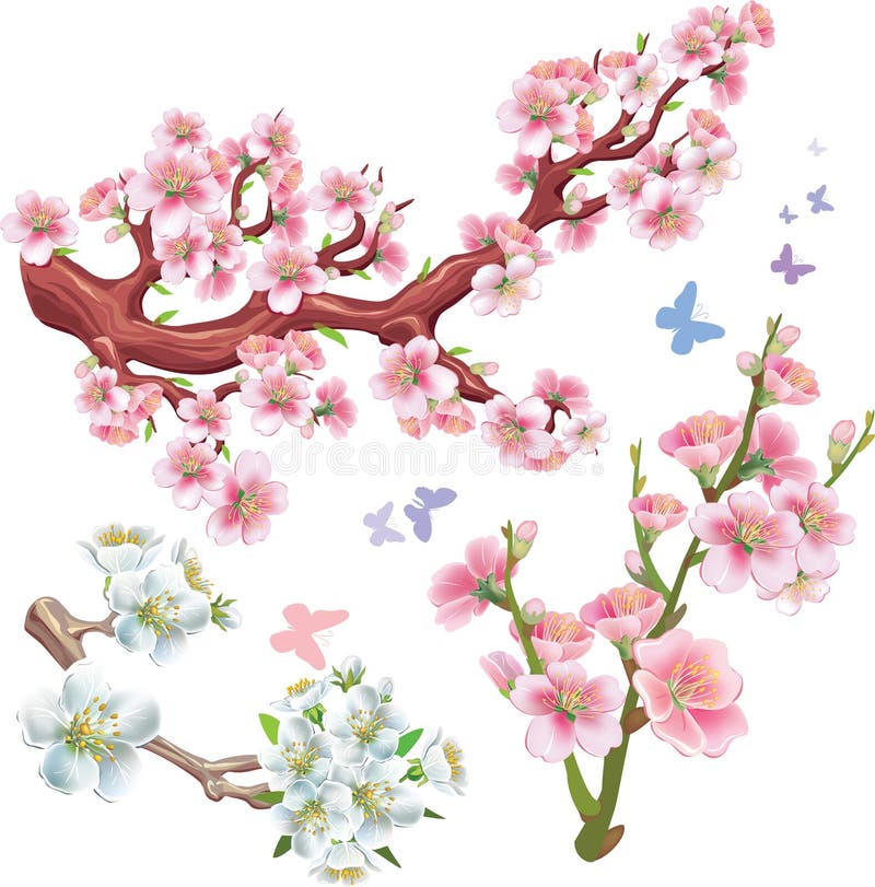 Set of flowering branches stock vector. Illustration of blossom - 18949499