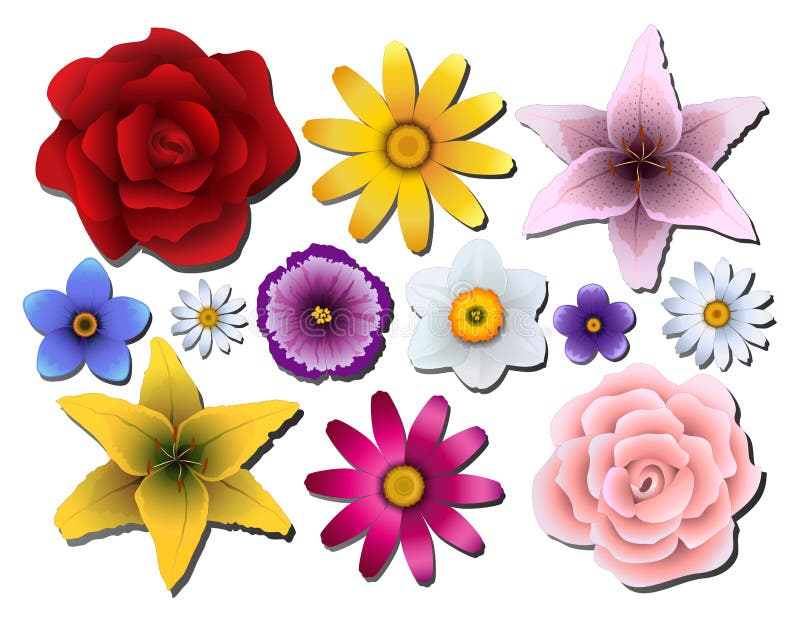 Set of Flowers of Different Colors Stock Vector - Illustration of ...
