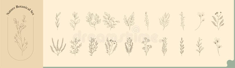 Set of Flowers and Leaves Element in Doodle Stock Illustration ...