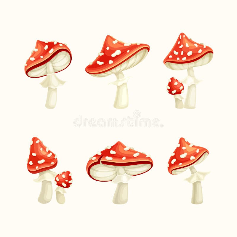Set of Fly Agarics Set. Cute Amanita Muscaria Poisonous Forest Mushroom ... Set of Fly Agarics Set. Cute Amanita Muscaria Poisonous Forest Mushroom ...