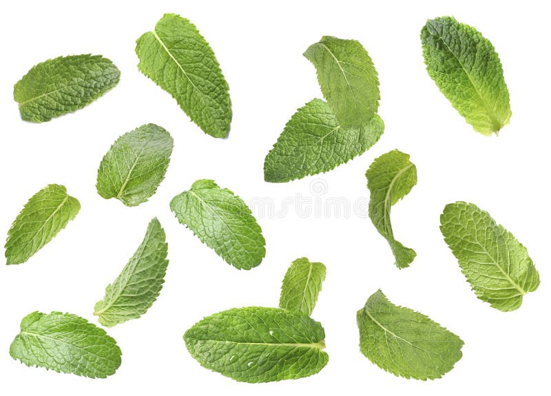 Set of Flying Green Mint Leaves on Background Stock Photo - Image of ...