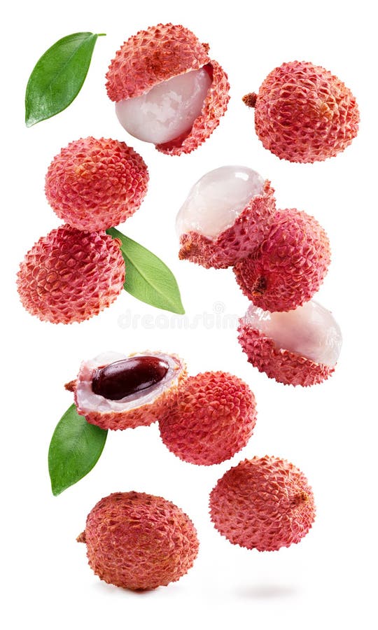 Set of Flying Lychee Fruits Isolated on White Background Stock Photo ...