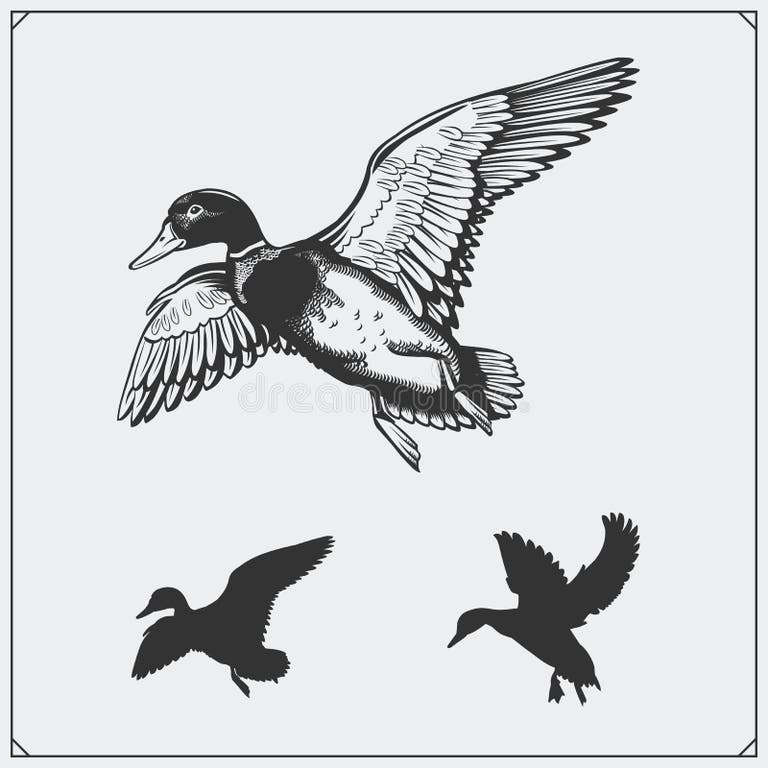 Flying Wild Stock Illustrations – 151,195 Flying Wild Stock ...