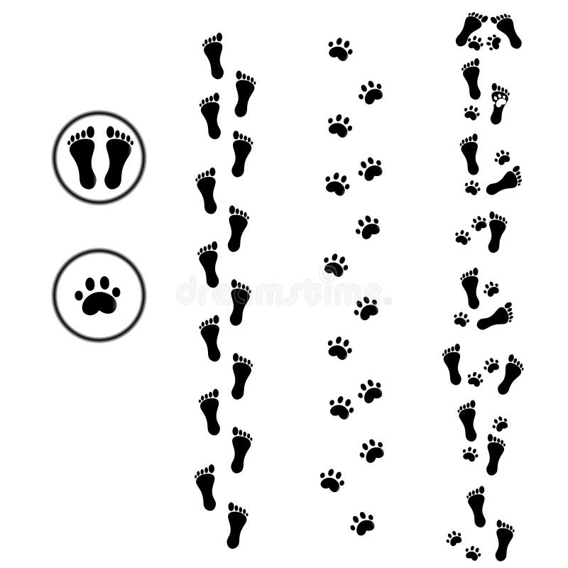 Set of Footprint Patterns Human and a Pet Stock Vector - Illustration ...