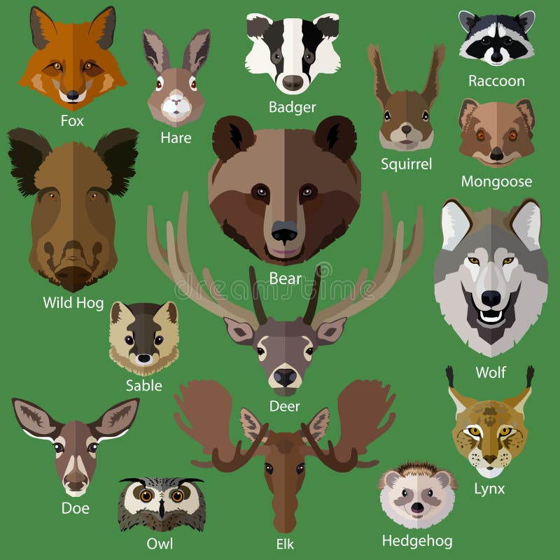 Forest Animals Portrait Collection Stock Illustrations – 922 Forest ...