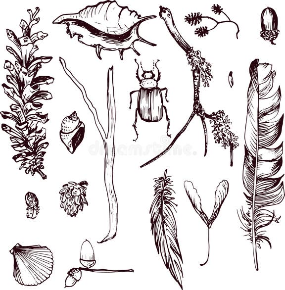 Set of forest objects stock vector. Illustration of forest - 68677544