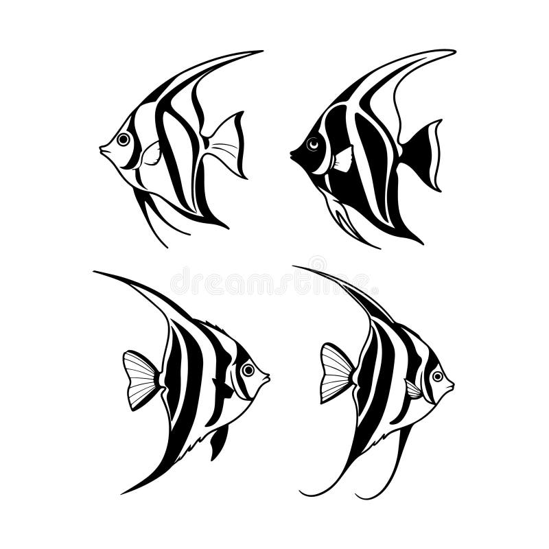 A Set of Four Angelfish Silhouettes in Vector Style Stock Vector ...