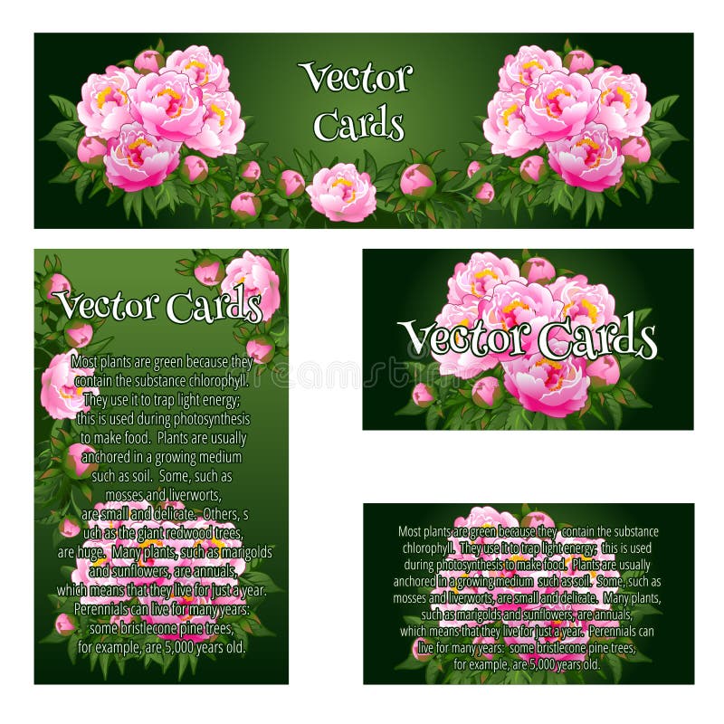 Set of Four Cards with the Image of Pink Roses Stock Vector ...