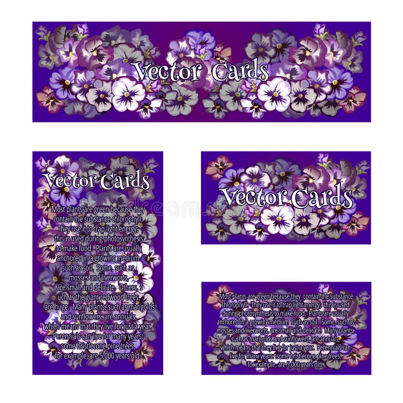 Set of Four Cards with the Image of Purple Flowers Stock Vector ...