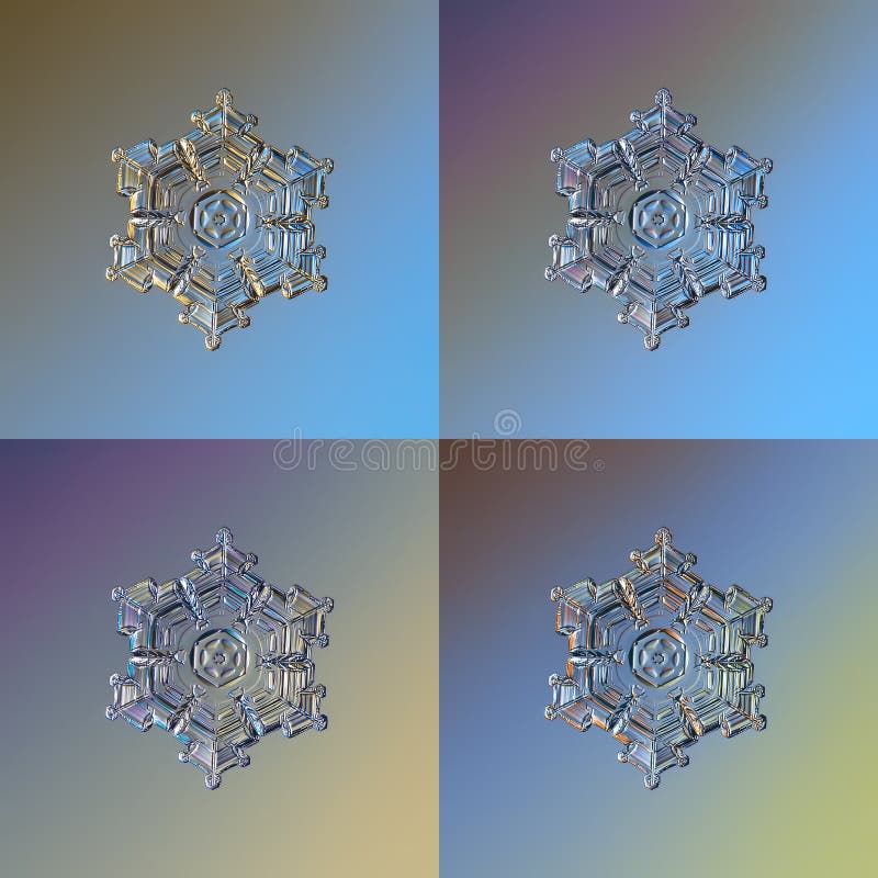 Four Color Variants of Real Snowflake Stock Photo - Image of objects ...