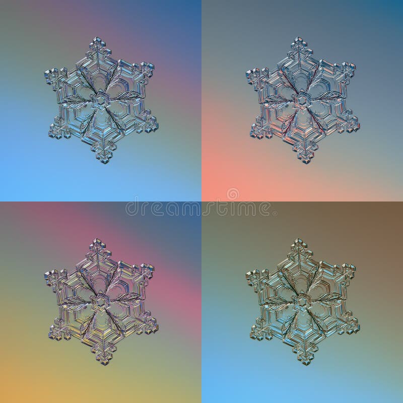 Set with Four Color Variants of Real Snowflake Stock Photo - Image of ...