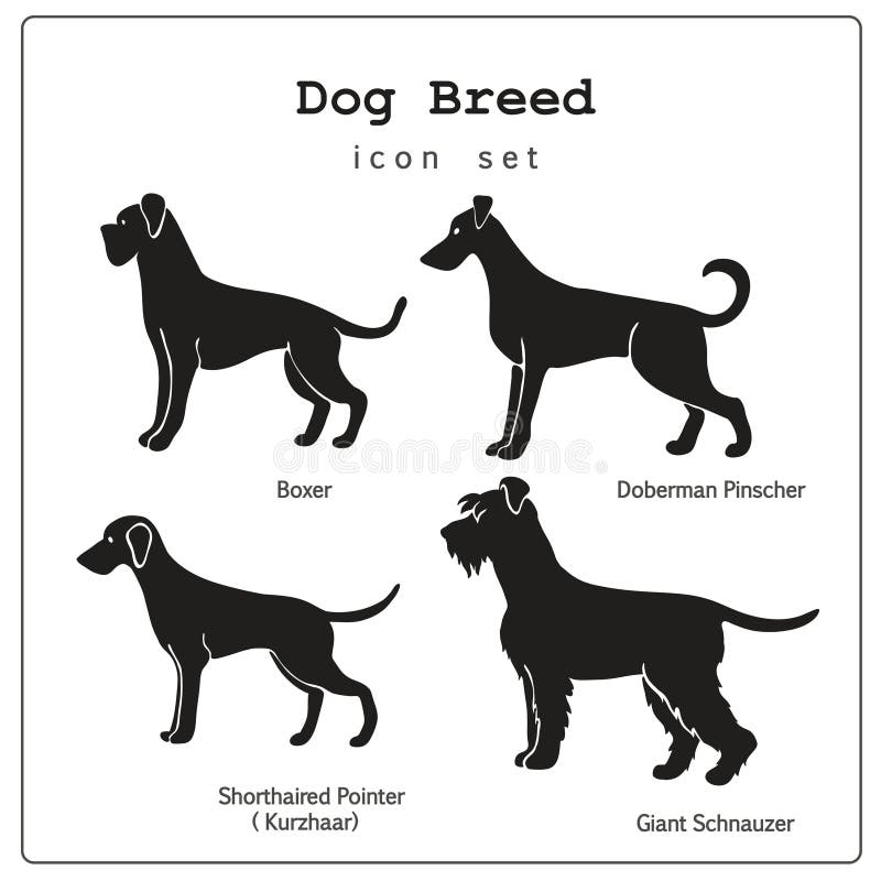 Set of Four Dog Breeds Icons Stock Vector - Illustration of doberman ...