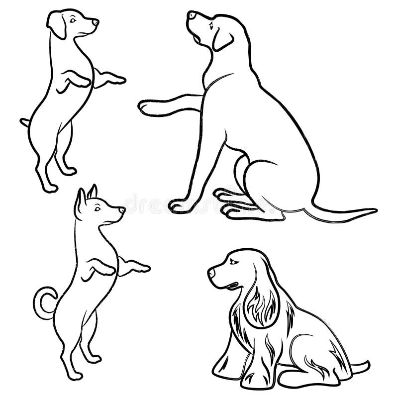 Set of four dogs stock vector. Illustration of outline - 101927208