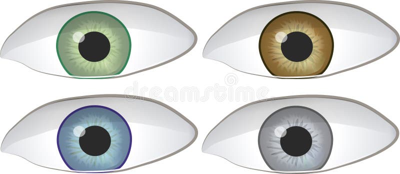 Set of Four Eyes stock illustration. Illustration of differently - 60560953