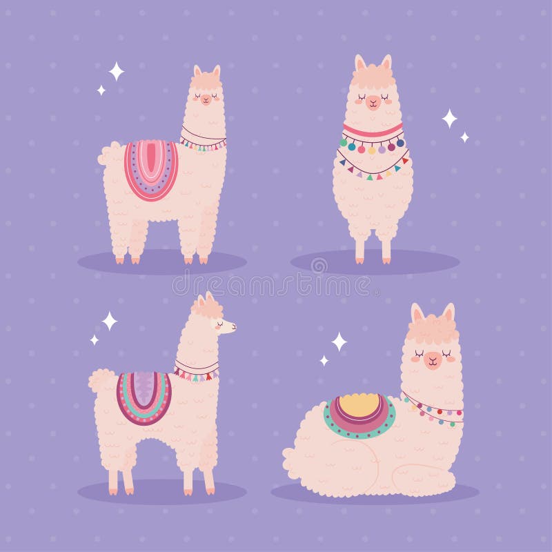 Four happy llamas stock vector. Illustration of pink - 249469766